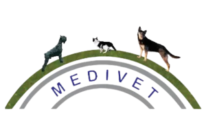 Contacto - MEDIVET